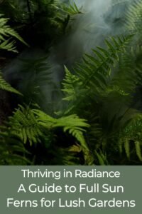 Thriving in Radiance: A Guide to Full Sun Ferns for Lush Gardens