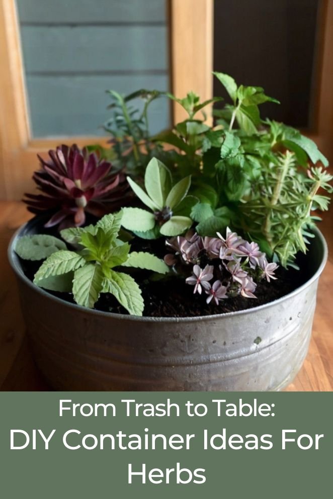 From Trash To Table DIY Container Ideas For Herbs